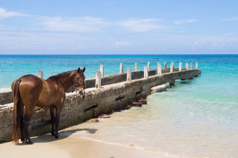 16 Cheap Tropical Vacations To Take This Year | Ordinary Traveler