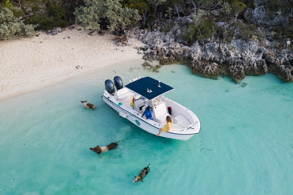 How To Swim With Pigs In The Bahamas At Pig Beach | Ordinary Traveler